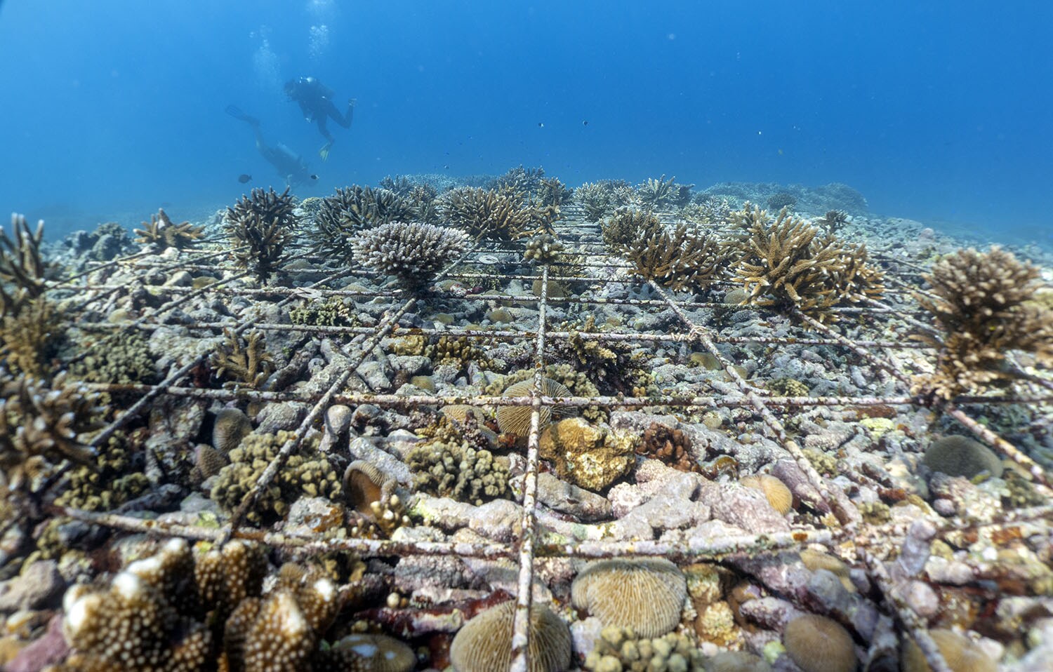 Blancpain and Fregate Island Private release short film presenting ...